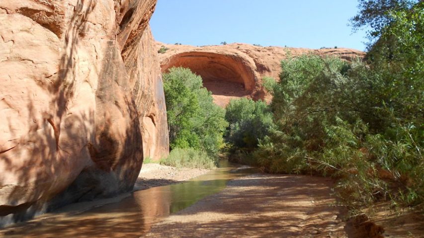 Explore Zion, Bryce and Grand Staircase-Escalante with Wildland Trekking