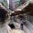 Visiting Zion National Park in March - Wildland Trekking