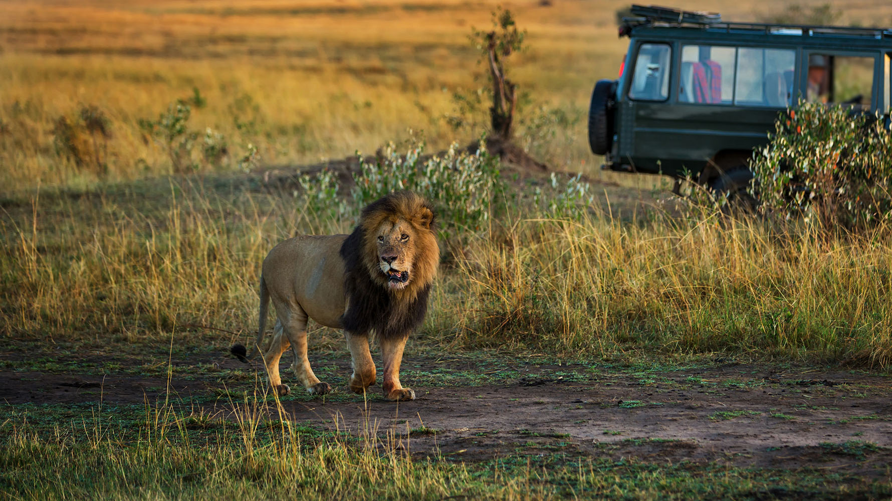 Guided Hikes, Hiking Tours & Backpacking Trips | Hiking Tour Company