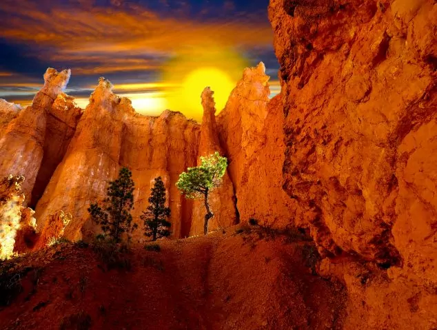 Visiting Bryce Canyon National Park in December - Wildland Trekking