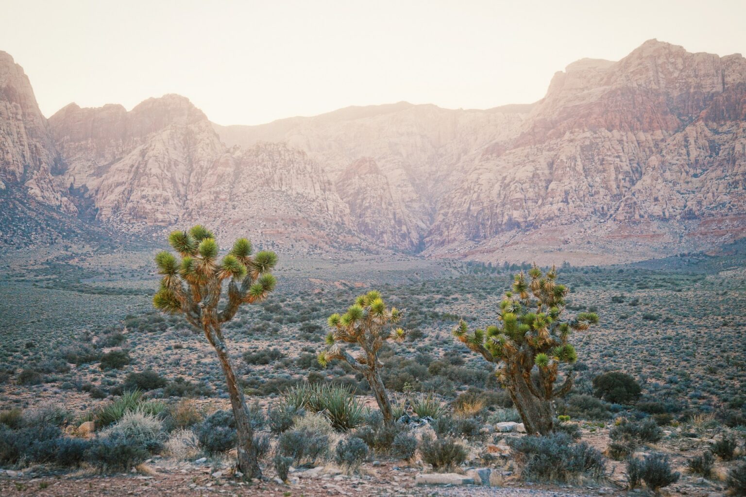 Best Beginner Backpacking Trips In California Wildland Trekking