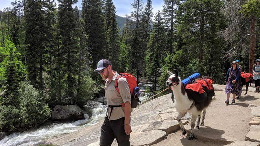 Guided Rocky Mountain National Park Llama Treks Wildland Trekking