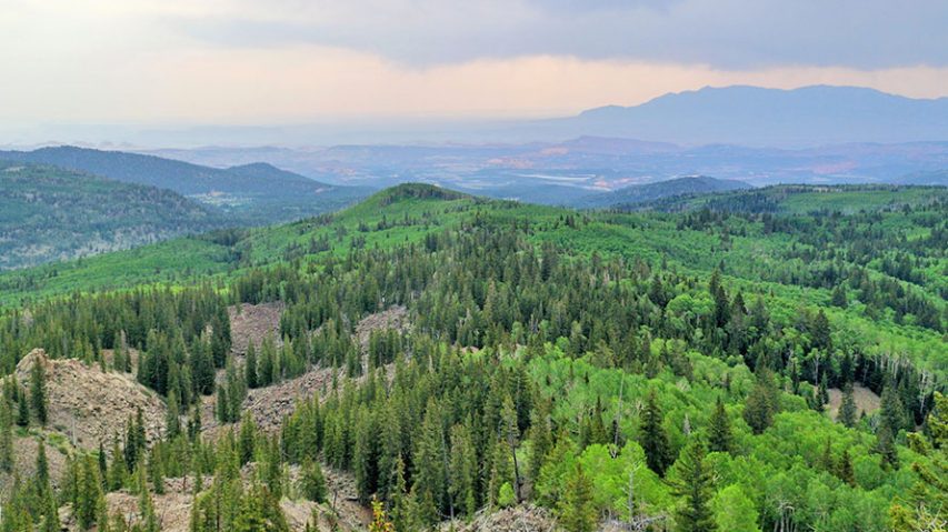 Boulder Mountain Backpacking Trip in Utah - Wildland Llamas