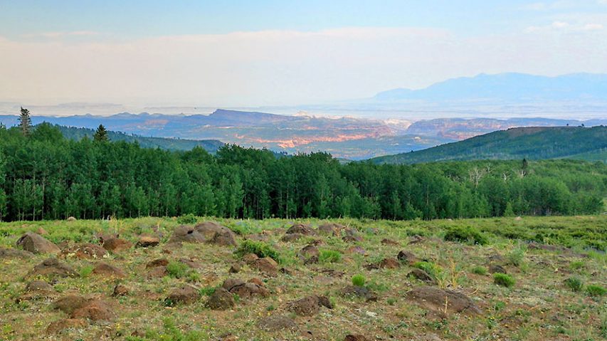 Boulder Mountain Backpacking Trip in Utah - Wildland Llamas