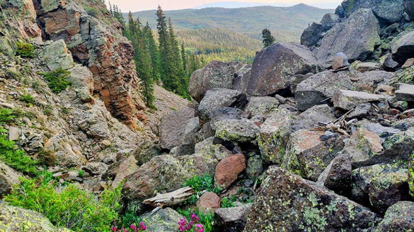 Boulder Mountain Backpacking Trip in Utah - Wildland Llamas
