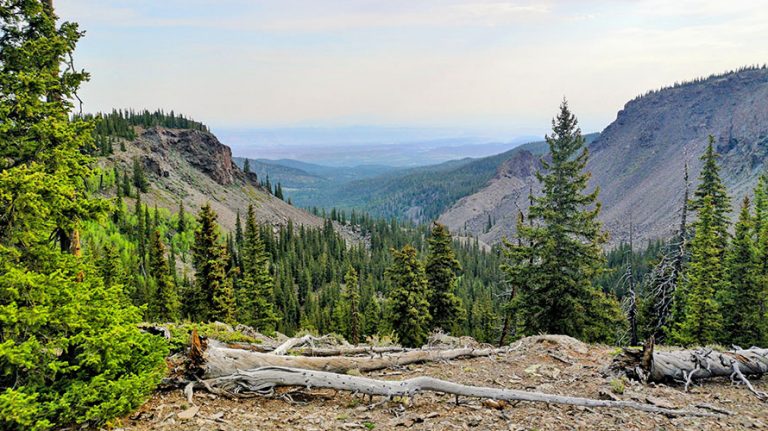 Boulder Mountain Backpacking Trip in Utah - Wildland Llamas