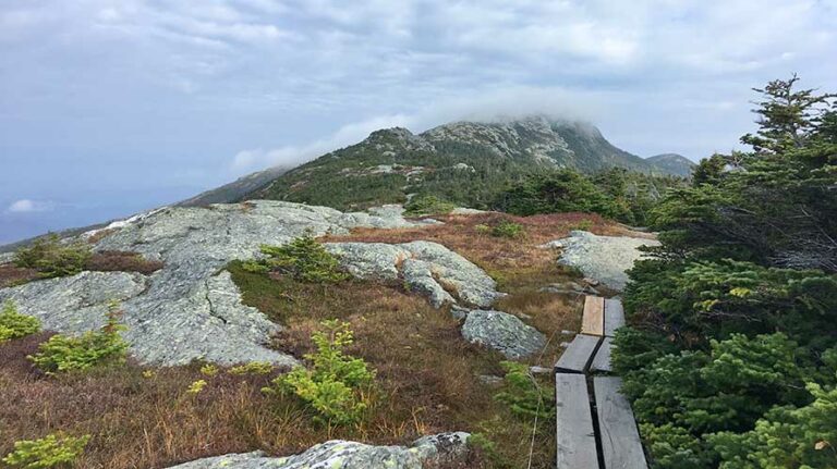 Best of Stowe & Vermont Hiking Tour - Wildland Trekking