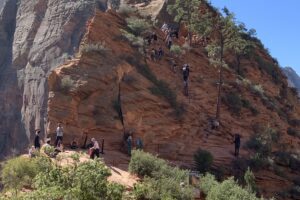 Zion National Park Basecamp Hiking Tour | Wildland Trekking