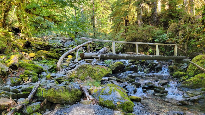Enchanted Valley Backpacking Tour | Wildland Trekking