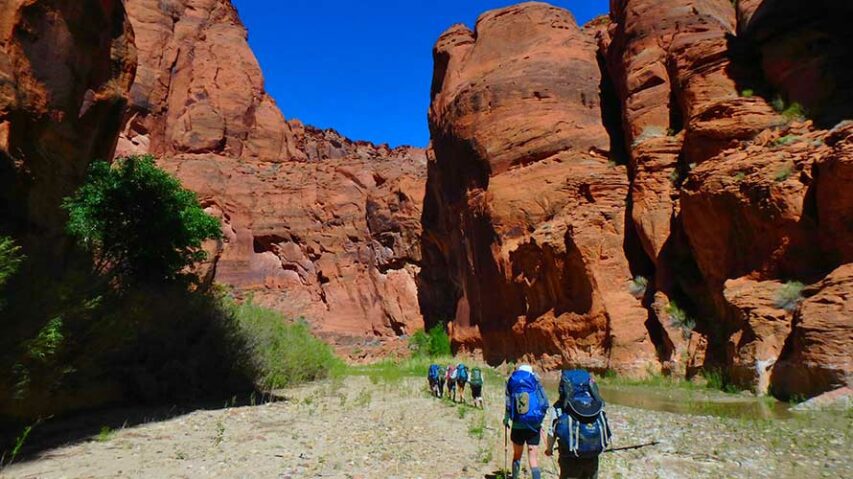 Guided Paria Canyon Backpacking Trip | Wildland Trekking