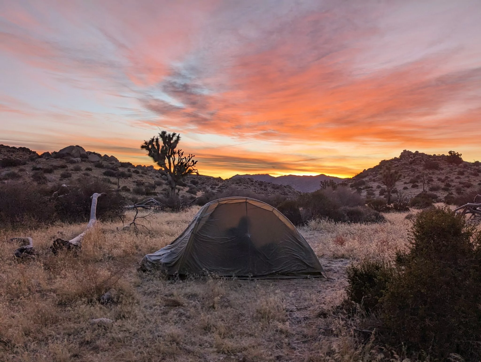Joshua Tree Backpacking Tour | Wildland Trekking