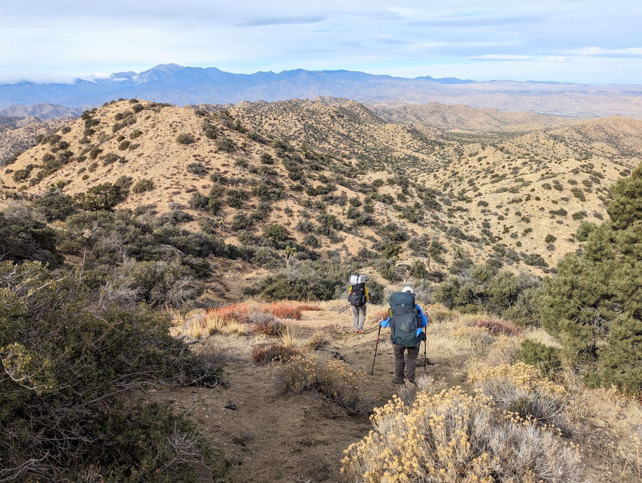 Joshua Tree Backpacking Tour | Wildland Trekking