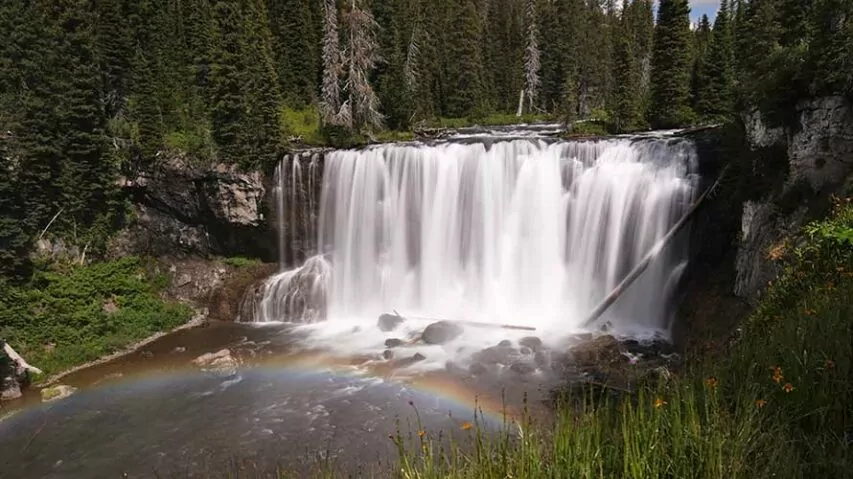Bechler River Yellowstone Llama Trek | Wildland Trekking