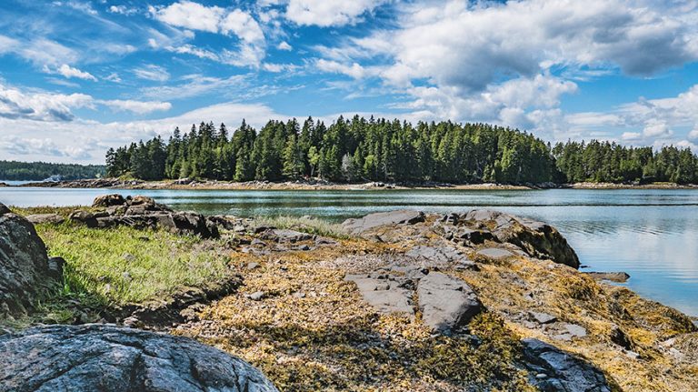 Acadia National Park Hiking Tour - Wildland Trekking