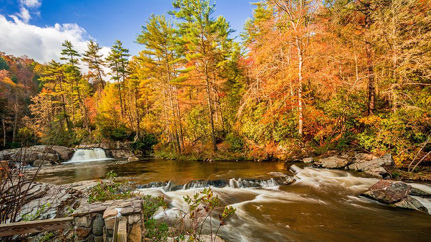 Fall Foliage Hiking Tours - Wildland Trekking