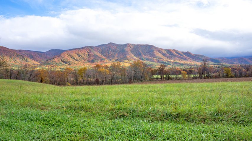 Appalachian Fall Colors Hiking Tour | Wildland Trekking