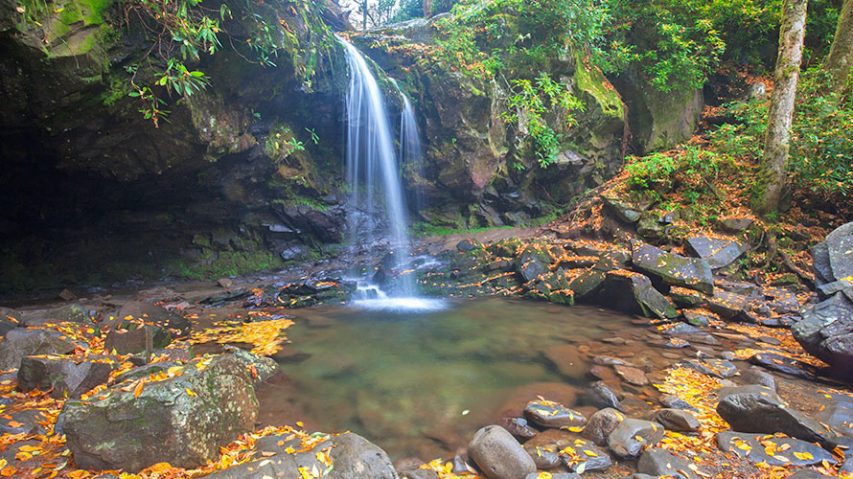 Appalachian Fall Colors Hiking Tour | Wildland Trekking