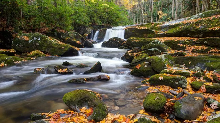 Appalachian Fall Colors Hiking Tour | Wildland Trekking