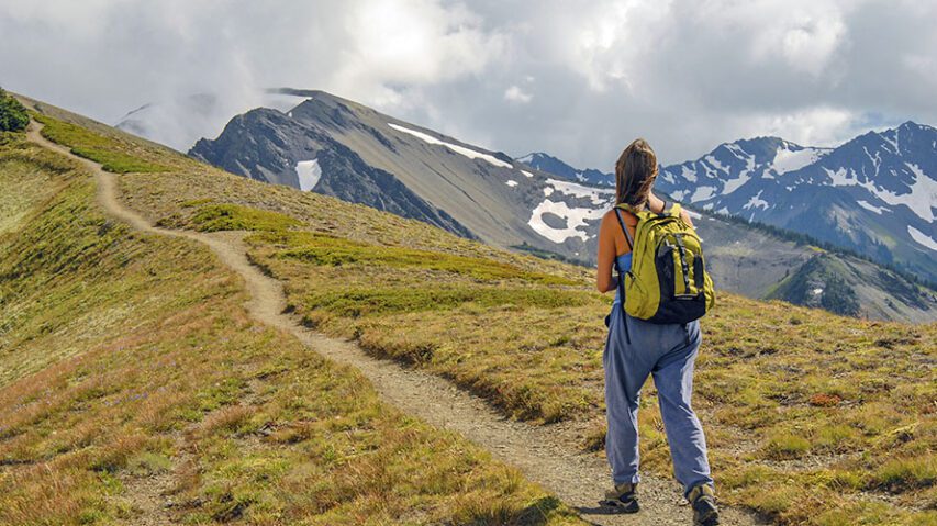 Best of Olympic National Park Hiking & Kayaking Tour - Wildland Trekking
