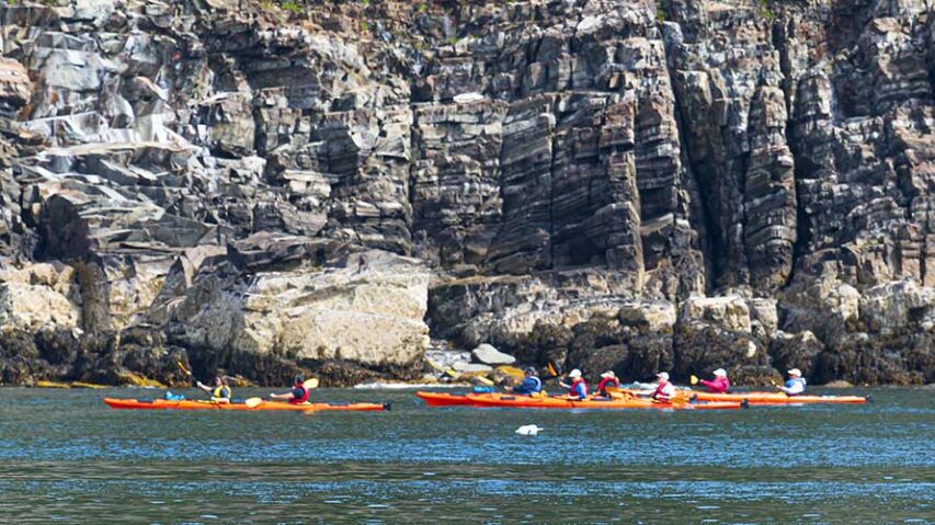 Acadia Hiking and Kayaking Adventure - Wildland Trekking