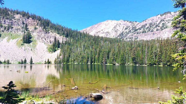 Mount Holmes and the Gallatin Range Trip - Wildland Trekking