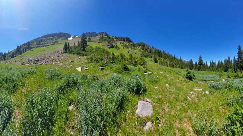 Mount Holmes and the Gallatin Range Trip - Wildland Trekking
