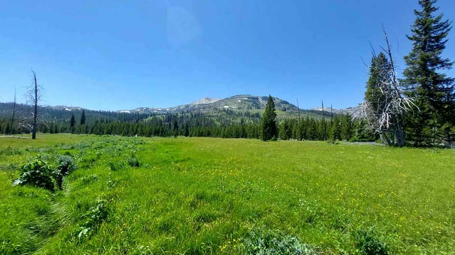 Mount Holmes and the Gallatin Range Trip - Wildland Trekking