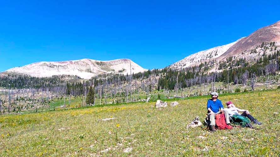 Mount Holmes and the Gallatin Range Trip - Wildland Trekking