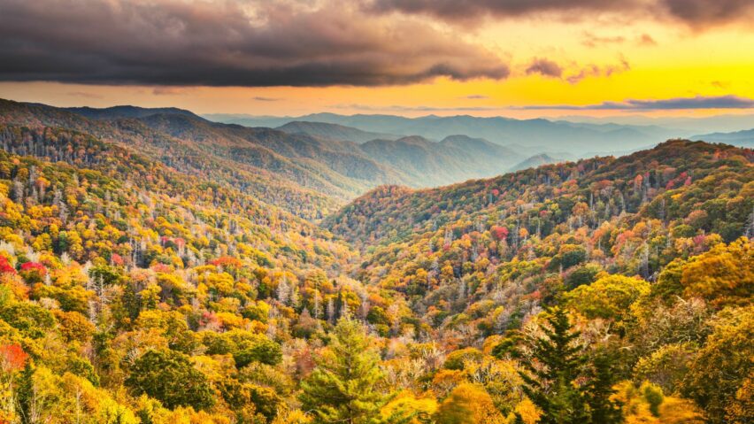 6 Things to do in the Smoky Mountains - Wildland Trekking