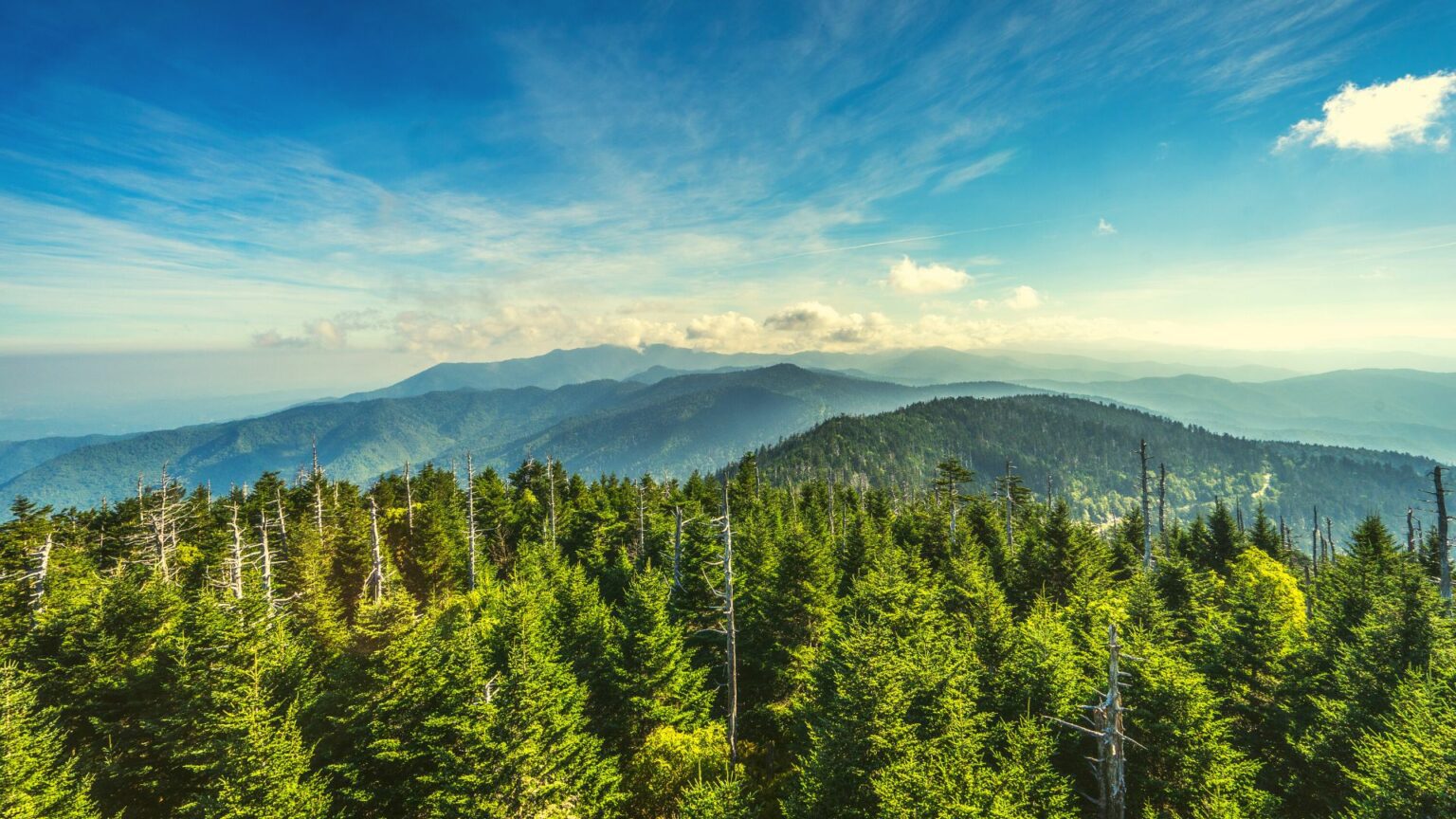 6 Things to do in the Smoky Mountains - Wildland Trekking