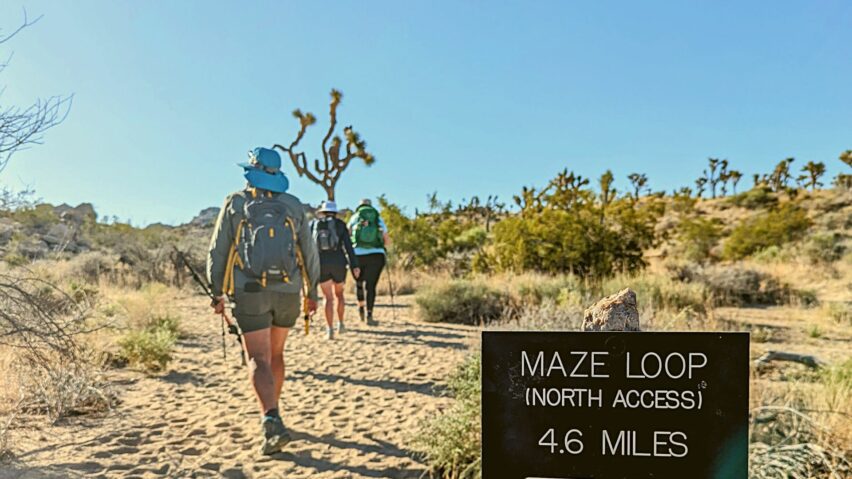 Things to do in Joshua Tree - Wildland Trekking