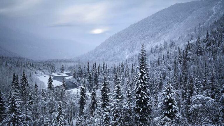 Alaska Northern Lights and Snowshoe Tour Northbound - Wildland Trekking