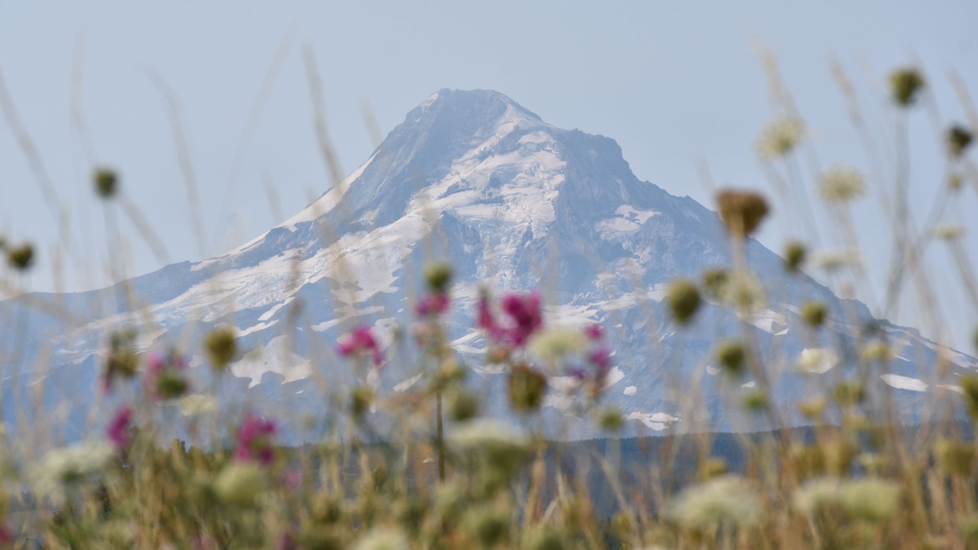Mt. Hood Hiking - Wildland Trekking