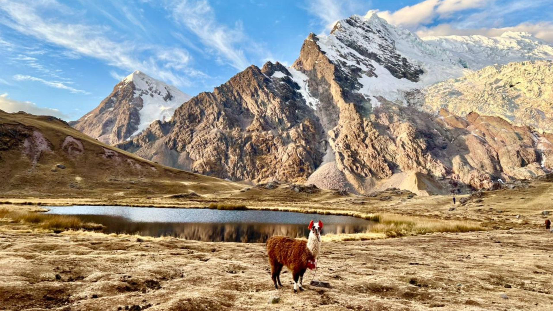 5 Best Llama Treks - Wildland Trekking