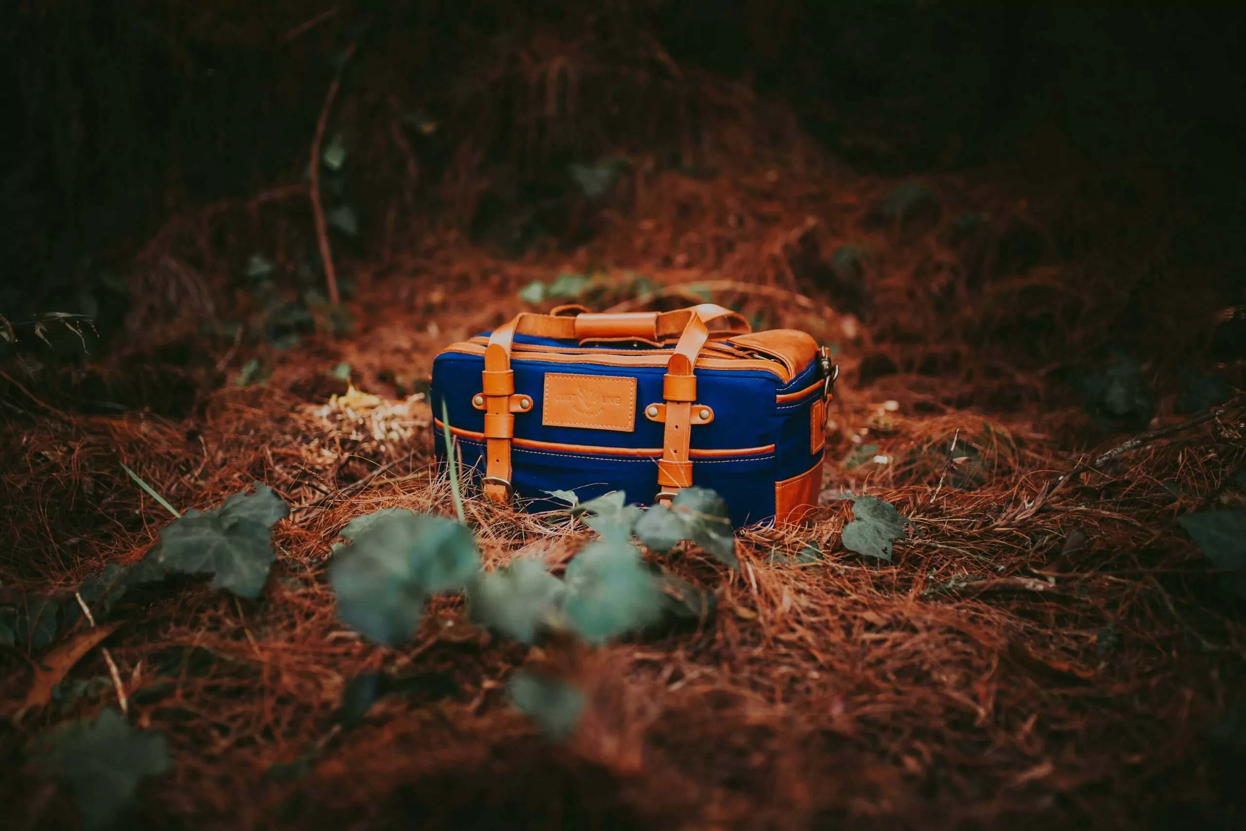 Best Duffel Bags of 2025 | Wildland Trekking