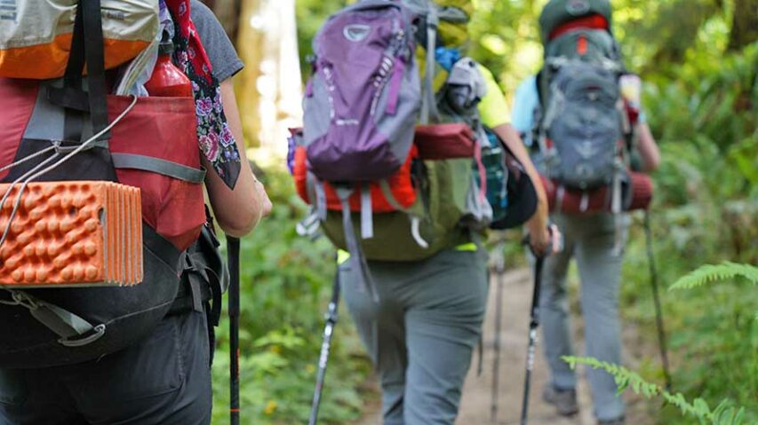 Backpacking Point Reyes National Seashore - Wildland Trekking