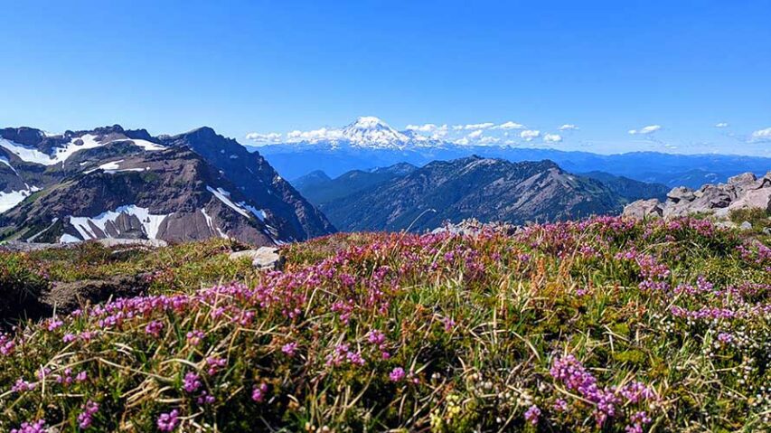 Knife Ridge Traverse Backpacking Trip in Goat Rocks Wilderness