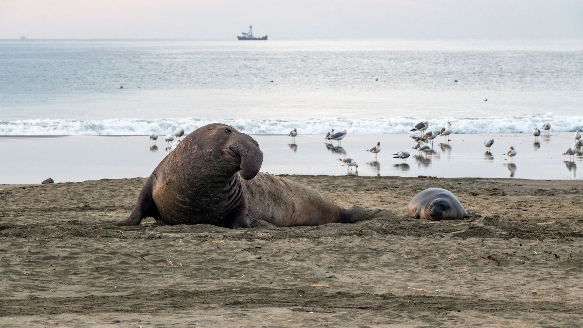 Visiting Point Reyes National Seashore - Wildland Trekking