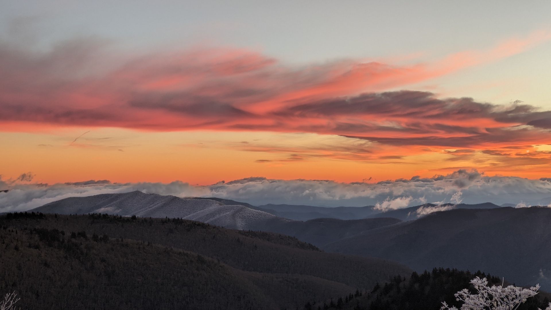 Exploring the Shining Rock Wilderness - Wildland Trekking