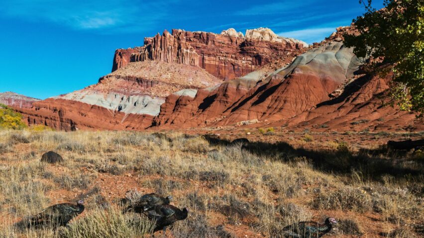 Ultimate Guide to Grand Staircase Escalante National Monument ...